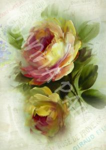 FRENCH ROSES | Wannapaint
